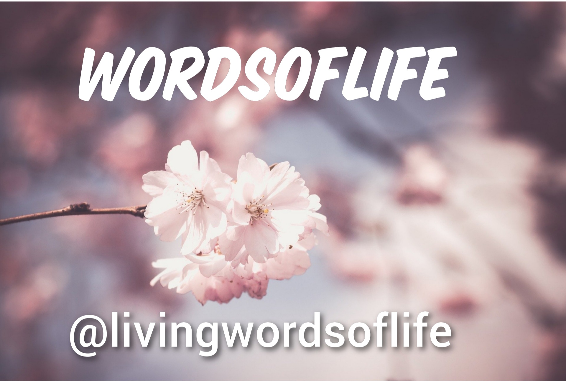Inspirational Quotes – LivingWordsofLife Store